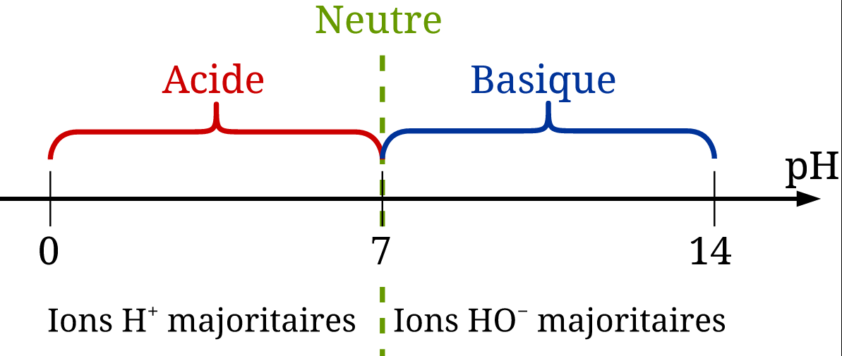 Chapitre 6 − Acides et bases – Physique-Chimie